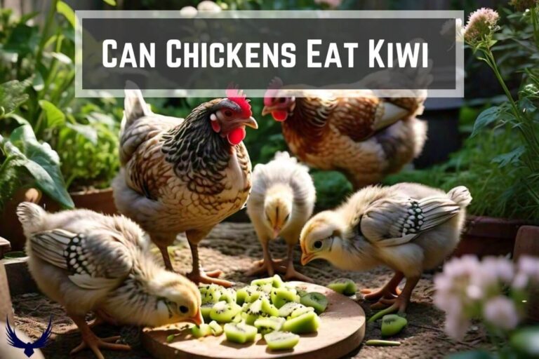 Can Chickens Eat Kiwi Fruit? All Benefits & Risks 2026
