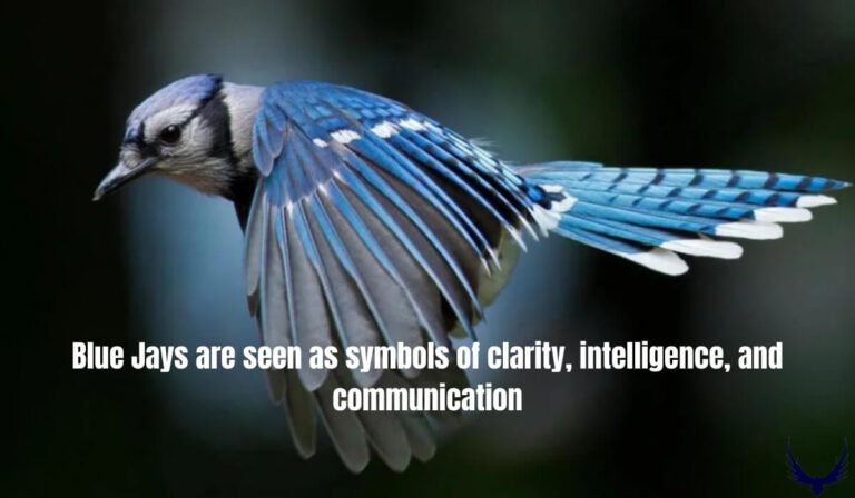 Discover the Blue Jay Spiritual Meaning & Symbolism