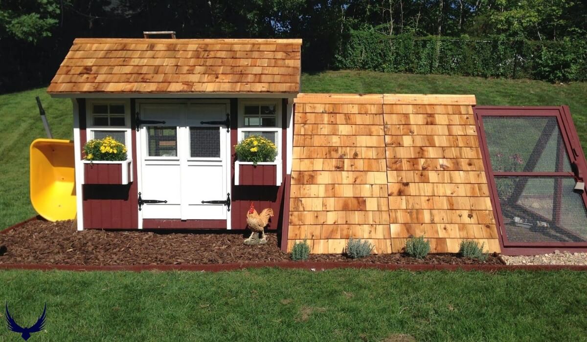 List of 250+ Unique, Cute & Funny Chicken Coop Names 2024