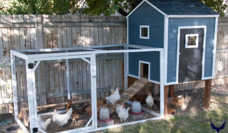 List of 250+ Unique, Cute & Funny Chicken Coop Names 2024
