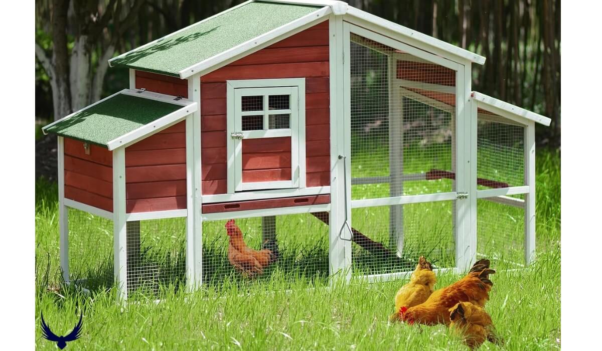 List of 250+ Unique, Cute & Funny Chicken Coop Names 2024