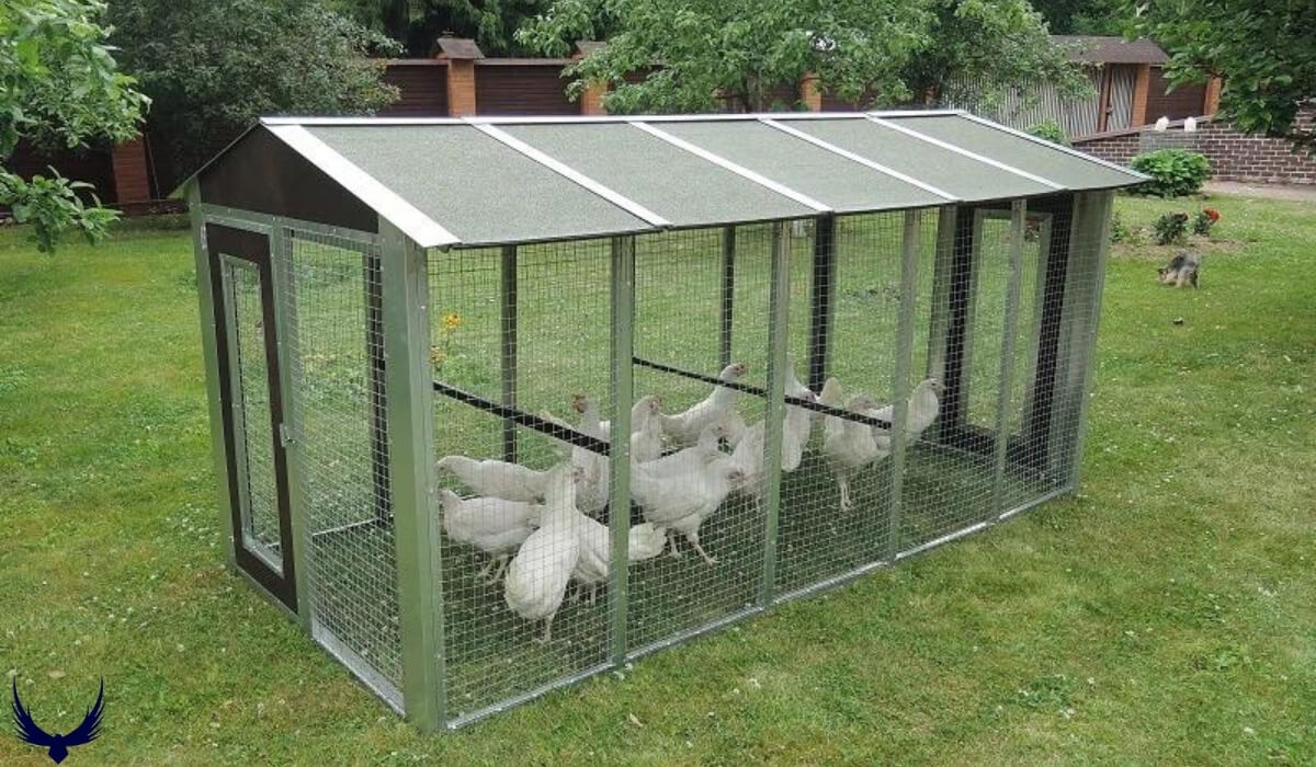 List of 250+ Unique, Cute & Funny Chicken Coop Names 2024