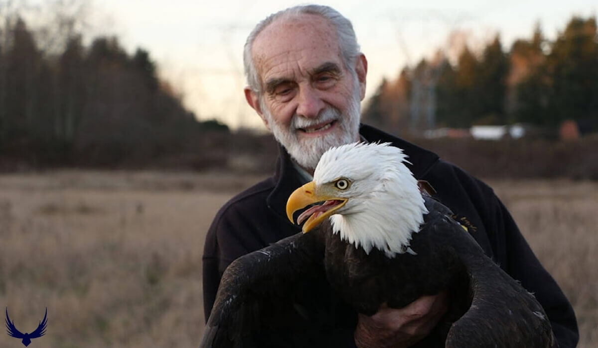 Is Hancock a Bird? Discover Mystery Behind Hancock Bird 2024