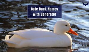 450+ Cute Duck Names with Generator for Feathered Friend