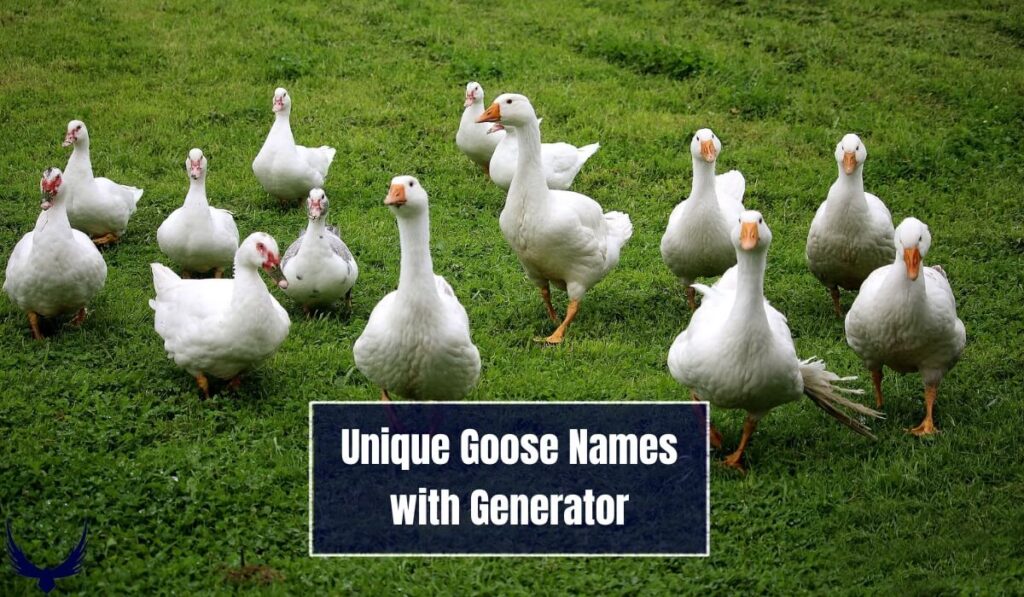 400+ Unique Goose Names with Generator 2024 - Birds Aura