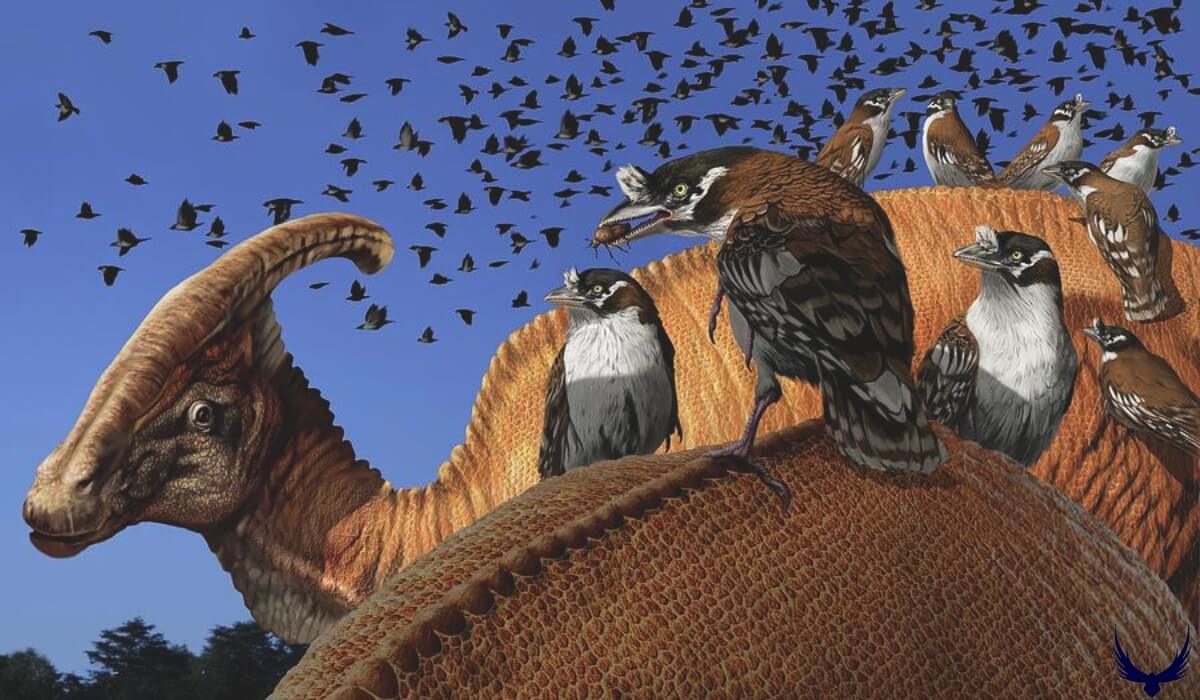 Top 10 Amazing Birds with Teeth - Birds Aura